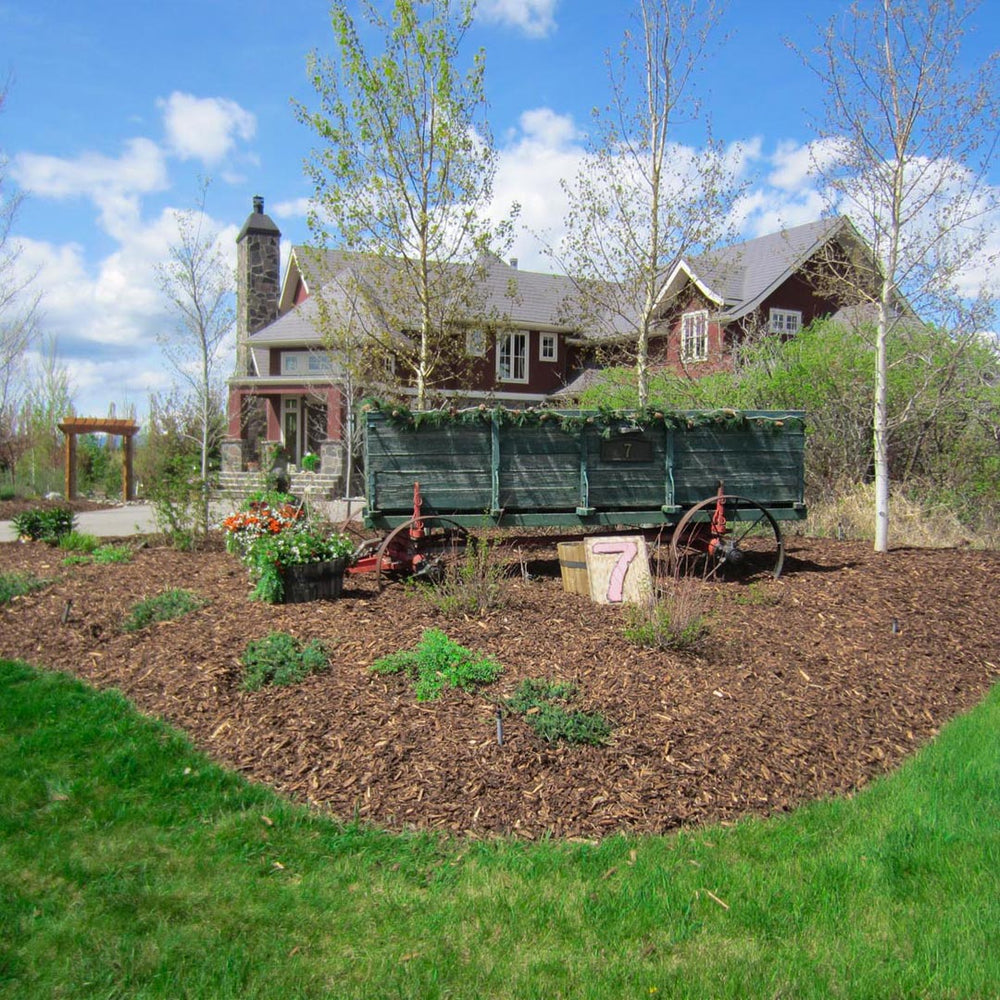 Mulch Calgary for Landscaping | Cedar, Black & Garden Mulch – TMH ...